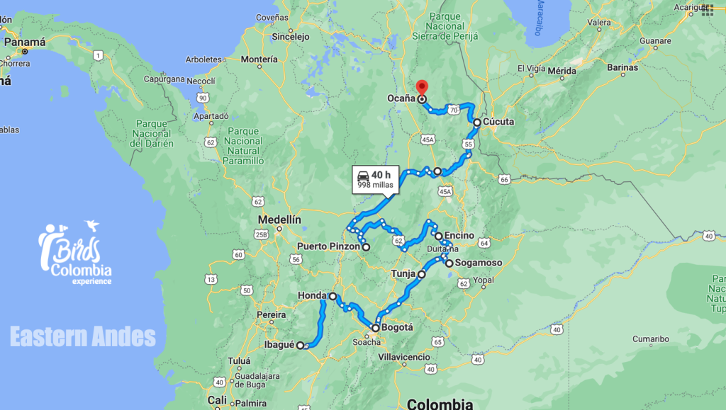 Why Birds Colombia? – Birds Colombia