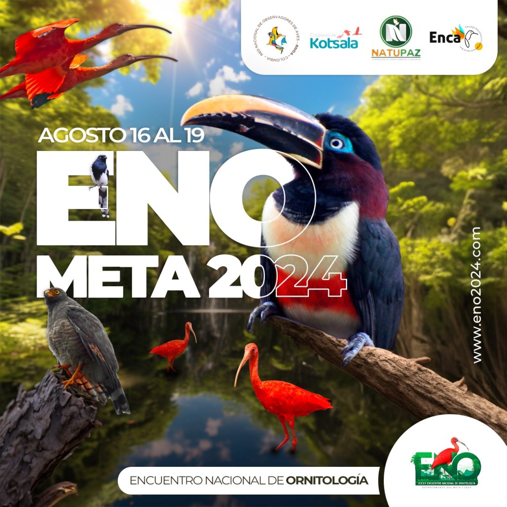 Loro Orejiamarillo/Yellow-eared Parrot/Ognorhynchus icterotis (CE ...